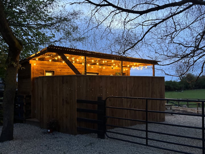 Rustic Charm Cabin - Naas