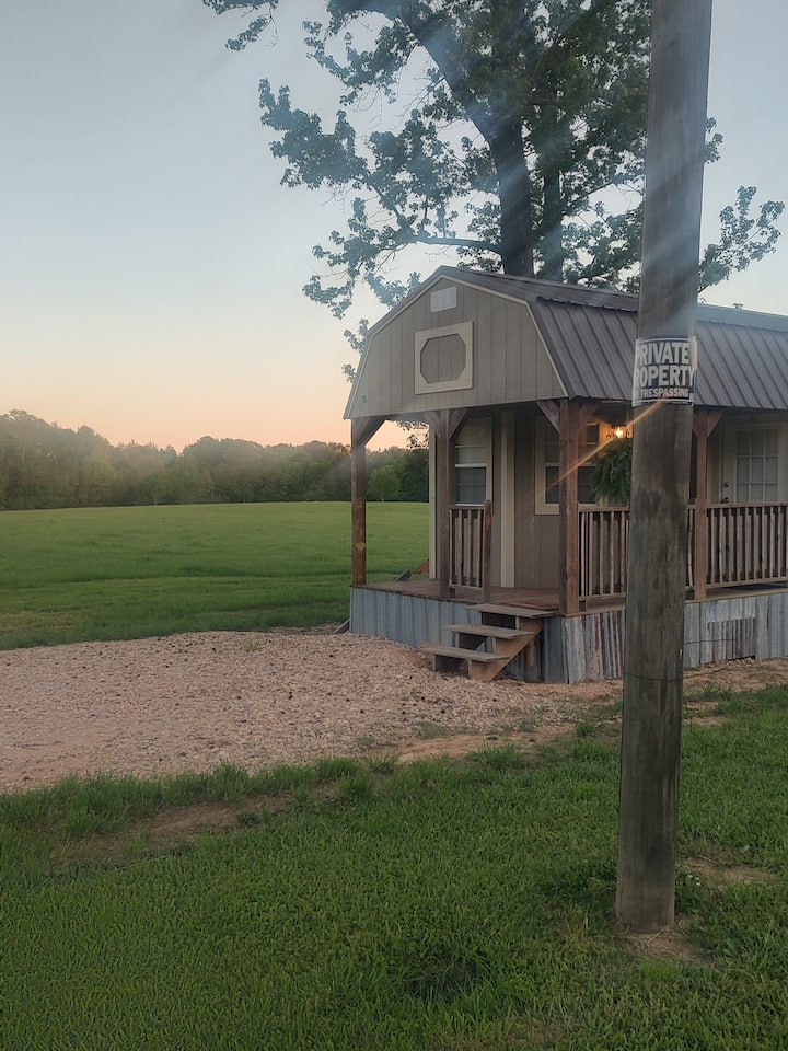 Thurman's Study - Lake Lincoln State Park, Wesson