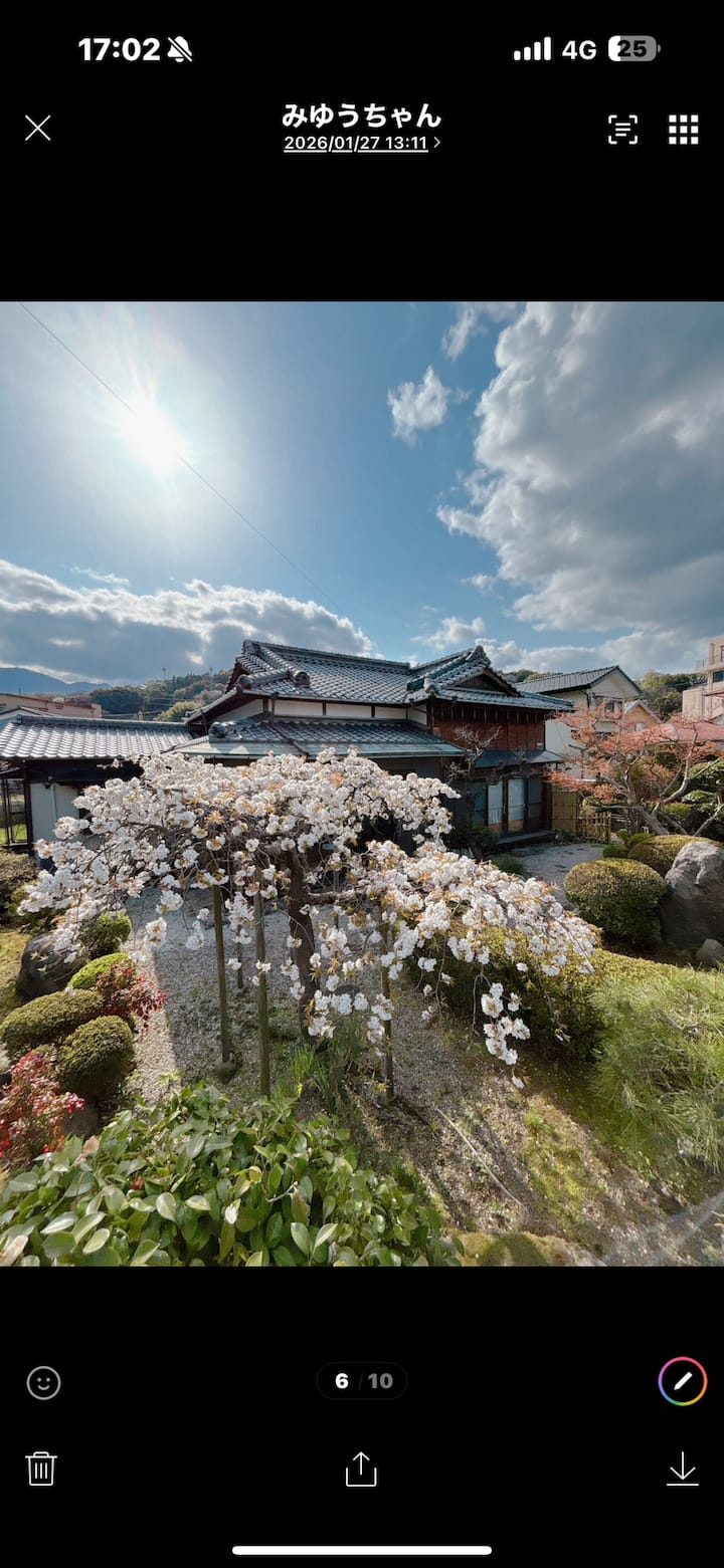 Cerisiers & Sources Thermales - Japan