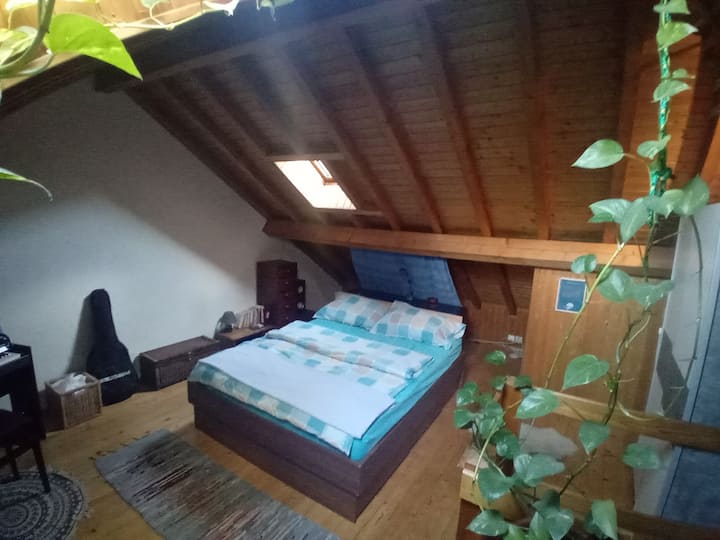 Appartement Duplex Sous Les Toits - Carouge