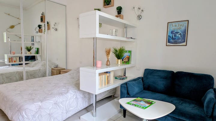 Studio Classé 3 éToiles/ Centre-ville/thermes - Vichy