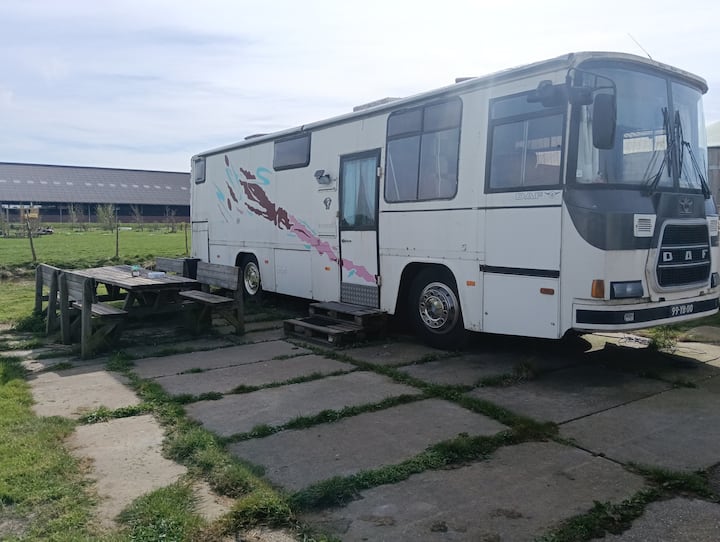 Daf Touringcar Hawk 2 Max 5 Personen - Hoorn