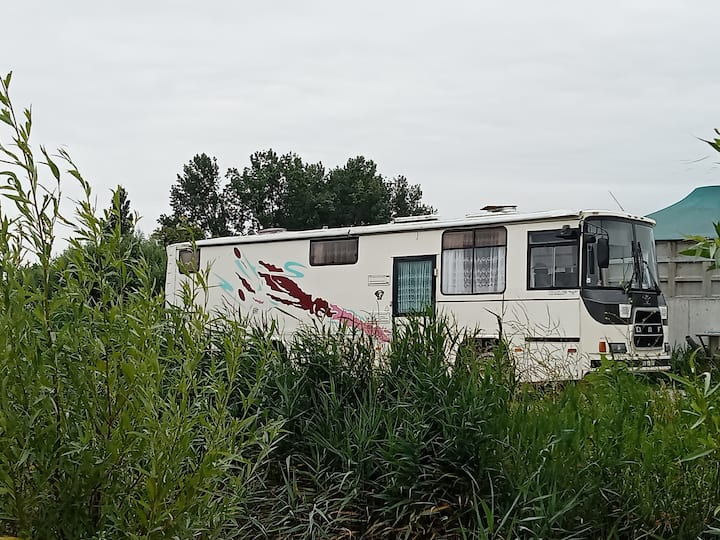 Daf Touringcar Hawk 2 - Hoorn