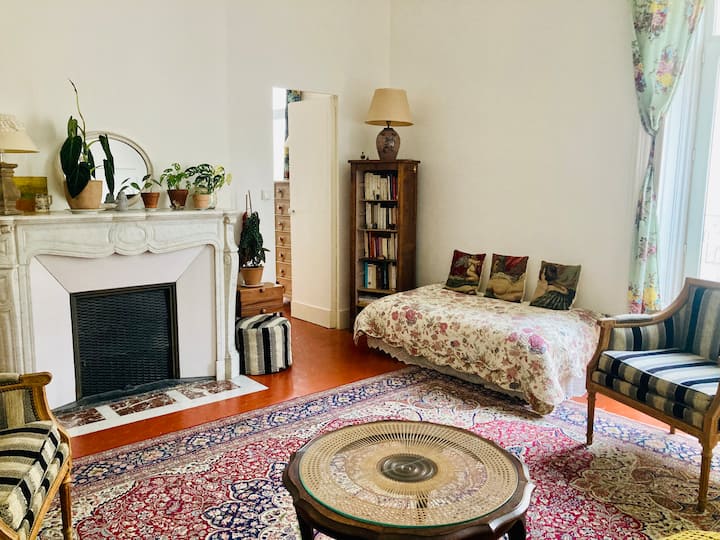 Bel Appartement Central - Montpellier