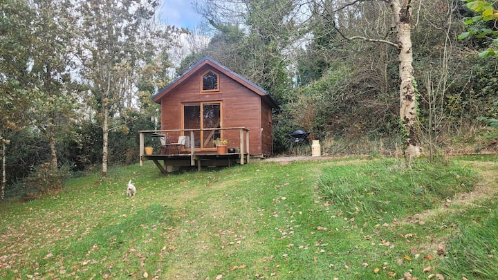 Lakeview Cabin - Clare County