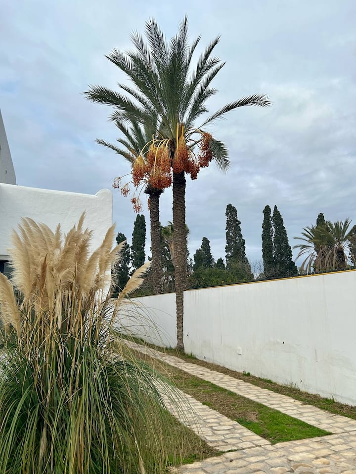 Superbe Villa Face Au Paradis - Hammamet