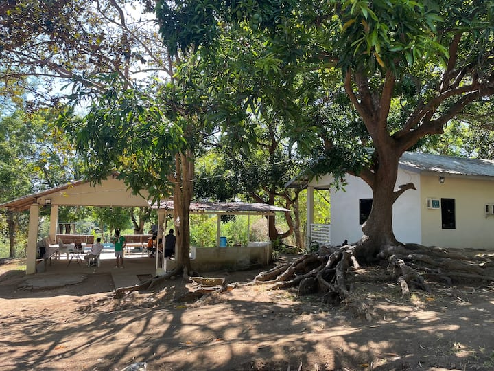 Rainforest Farmhouse - Balayan