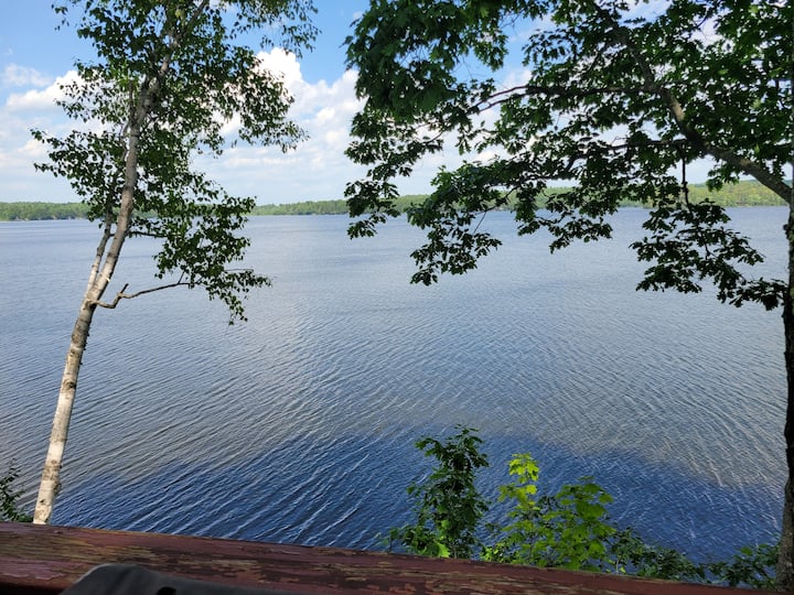 Dragonfly Haven - 시드니