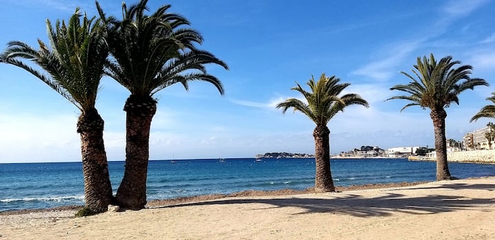Provence Bandol - Bandol
