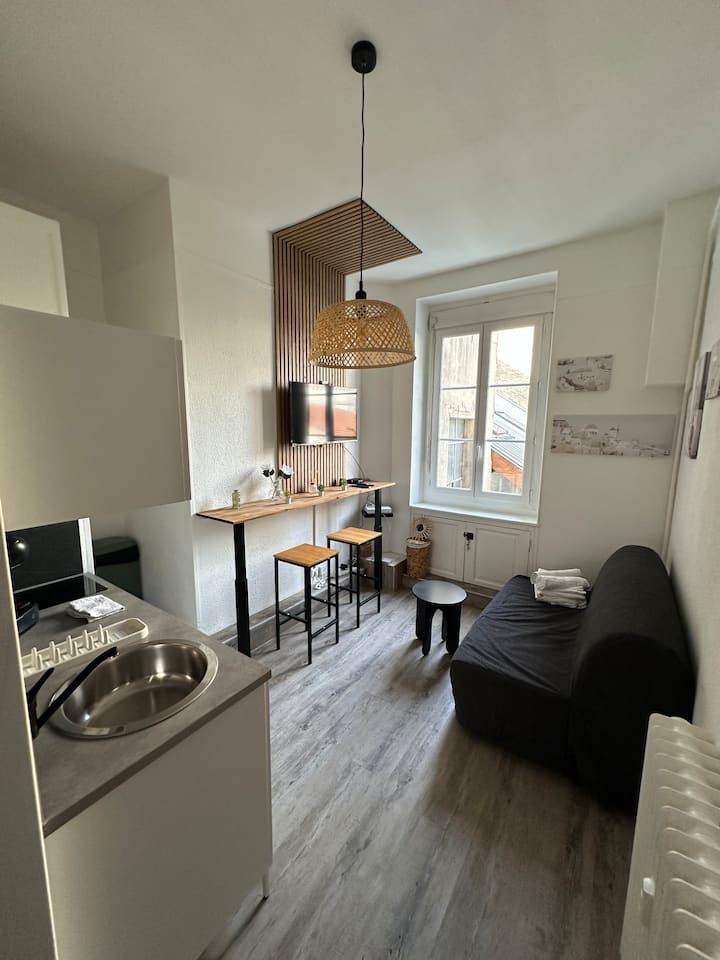 Studio Cosy Face à La Gare Sncf - Grenoble