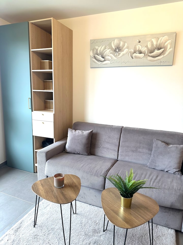 Studio Moderne à 2 Pas De Genève - Ferney Voltaire