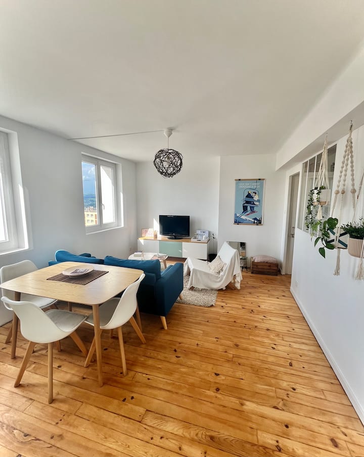 Appartement Cosy Et Lumineux - Saint-Étienne