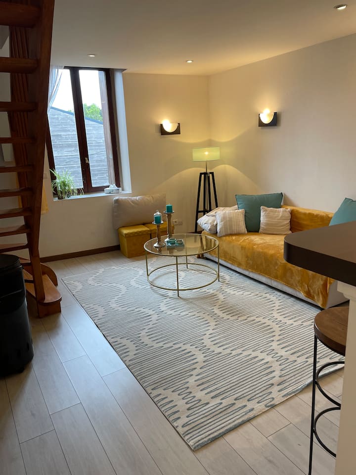 Appartement Duplex Nantes - Nantes