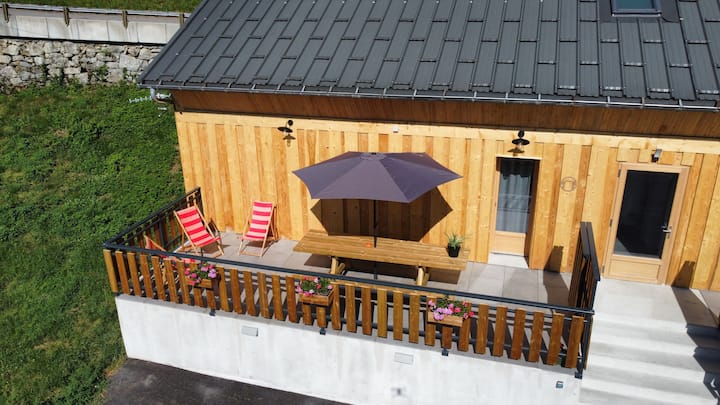 Edelweiss - 10/12 Pers - Les 3 Vallées