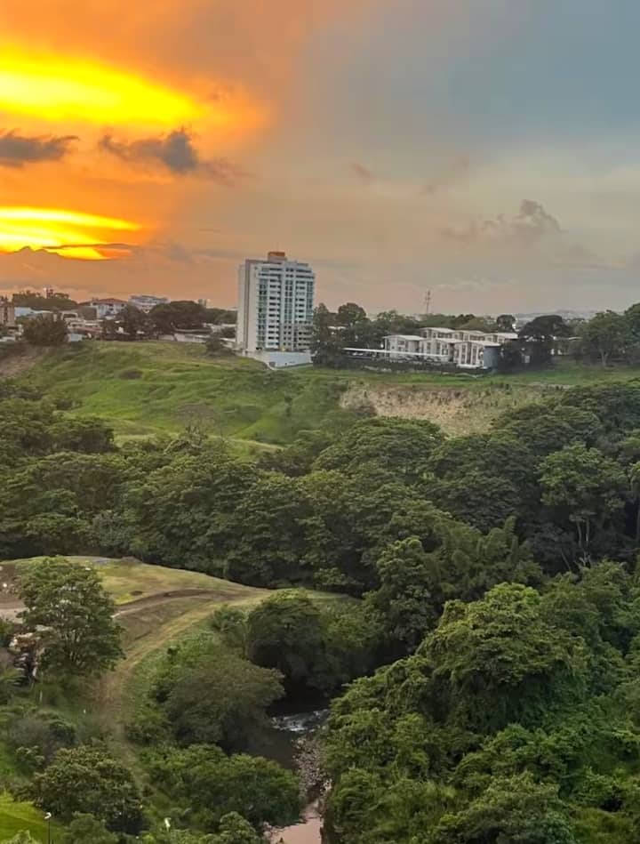 Romantic Jungle View-la Sabana-apt. For Couples - San José