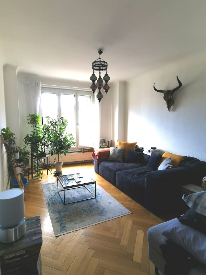 Bright & Charming Flat By Lake & Town - Lausanne