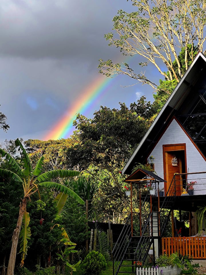 Casa En El Bosque - Peru