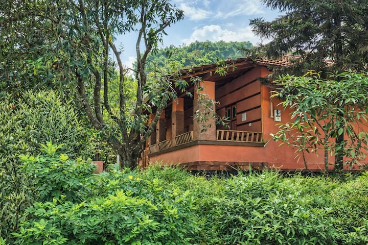 Aastha – Whole Villa For A Peaceful Getaway - Wayanad