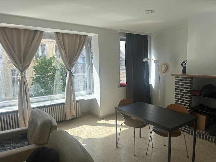 Apto. En El Centro De Gante - Gand