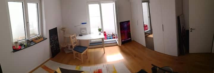 Einliegerwohnung Mit Sauna - Munich