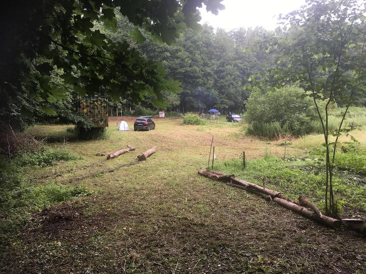 3000m2 Private Woodland Escape - Gouvieux