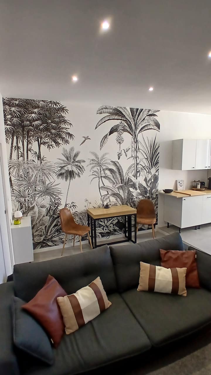 Appartement Cosy Et Tout éQuipé - Villeurbanne