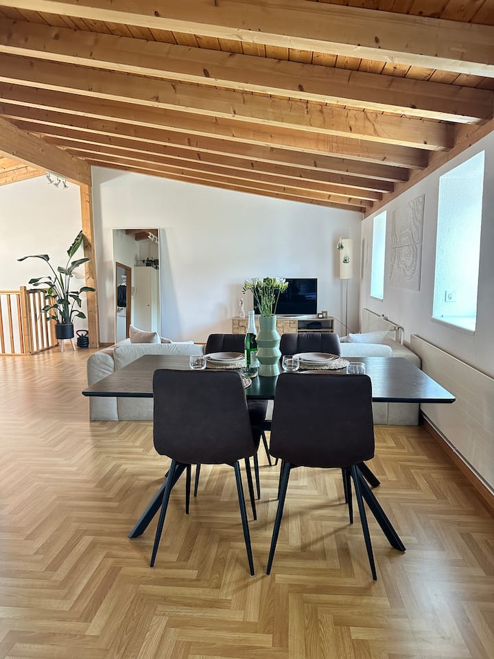 Grosse Dachwohnung! - Bâle