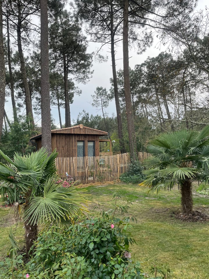 Petite Cabane Avec Jardin Privé. - Gujan-Mestras
