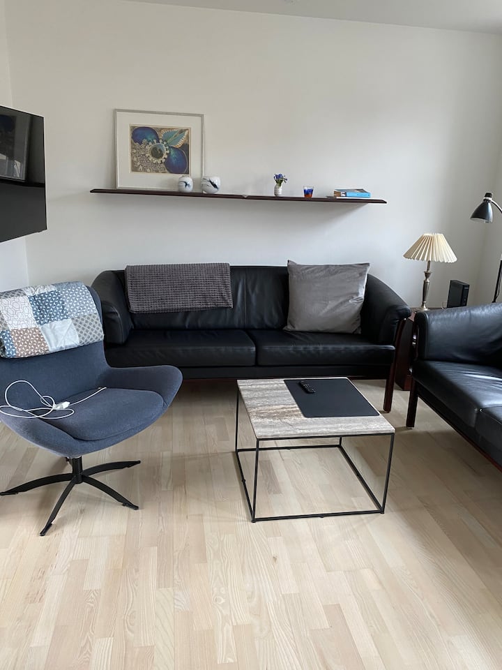 Tæt På Centrum Og Havn - Odense