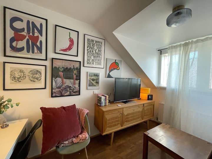 Apartment In The Heart Of Downtown Reykjavík - Reykjavik