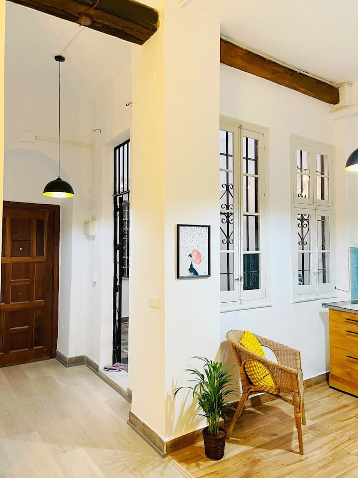 Loft Con Patio - Málaga