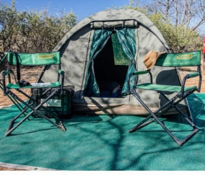 Tent Dennie (Canvas 5-man) - George