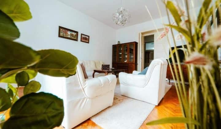 The Green Place In The City Center - Sarajevo