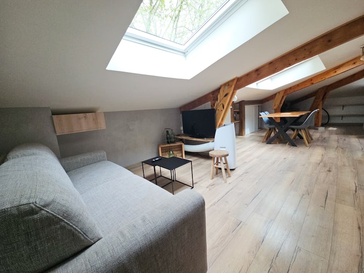 L'atypique - Appartement Spacieux Proche Gare - Reims