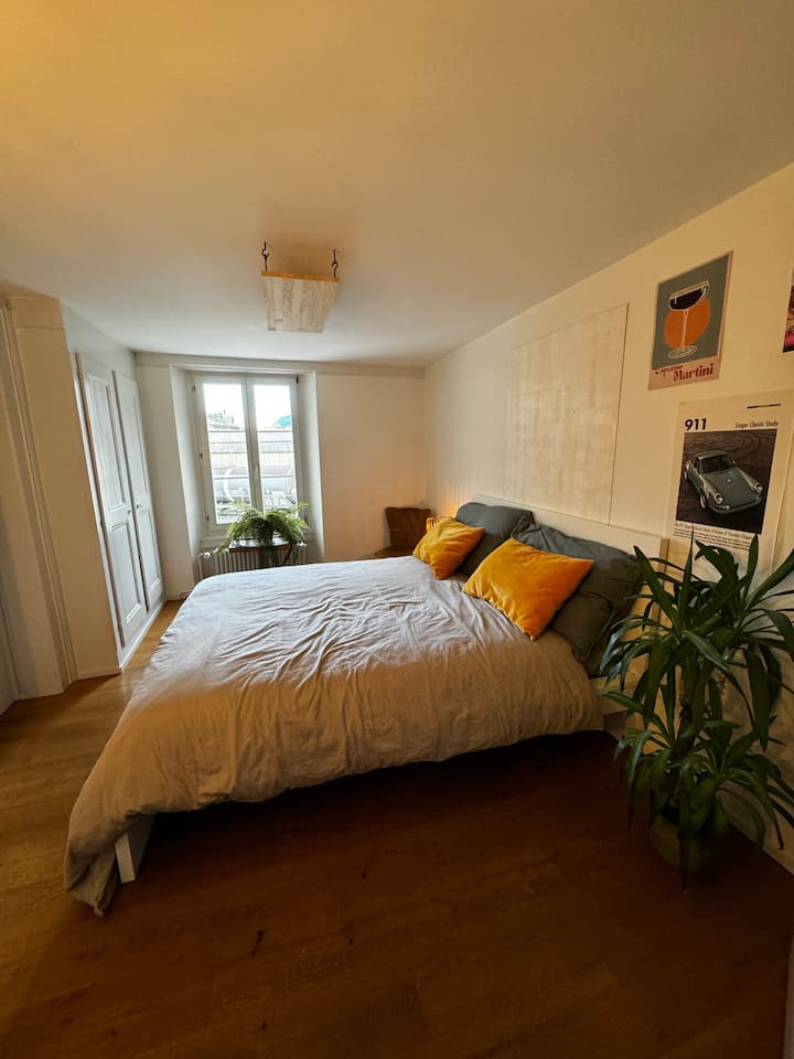 Cozy City Nest - Interlaken