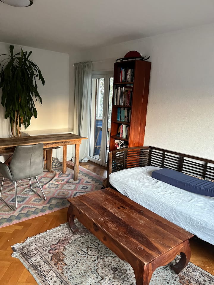 Grosses Helles Zimmer Mit Balkon - Heidelberg