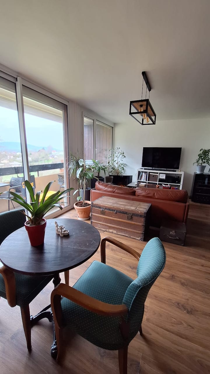 2 Chambres Dans Appartement - Cruseilles