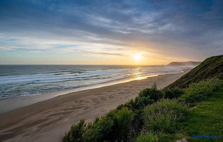 Shearwater On Sea 106 - Sedgefield