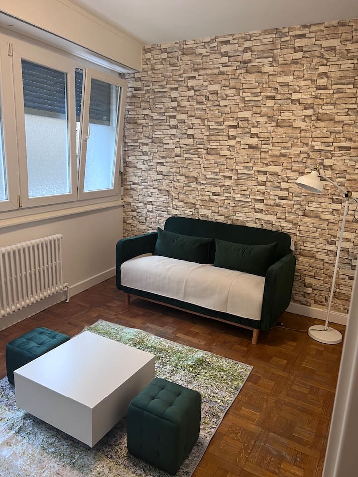 Appartement Au Centre-ville - Genf