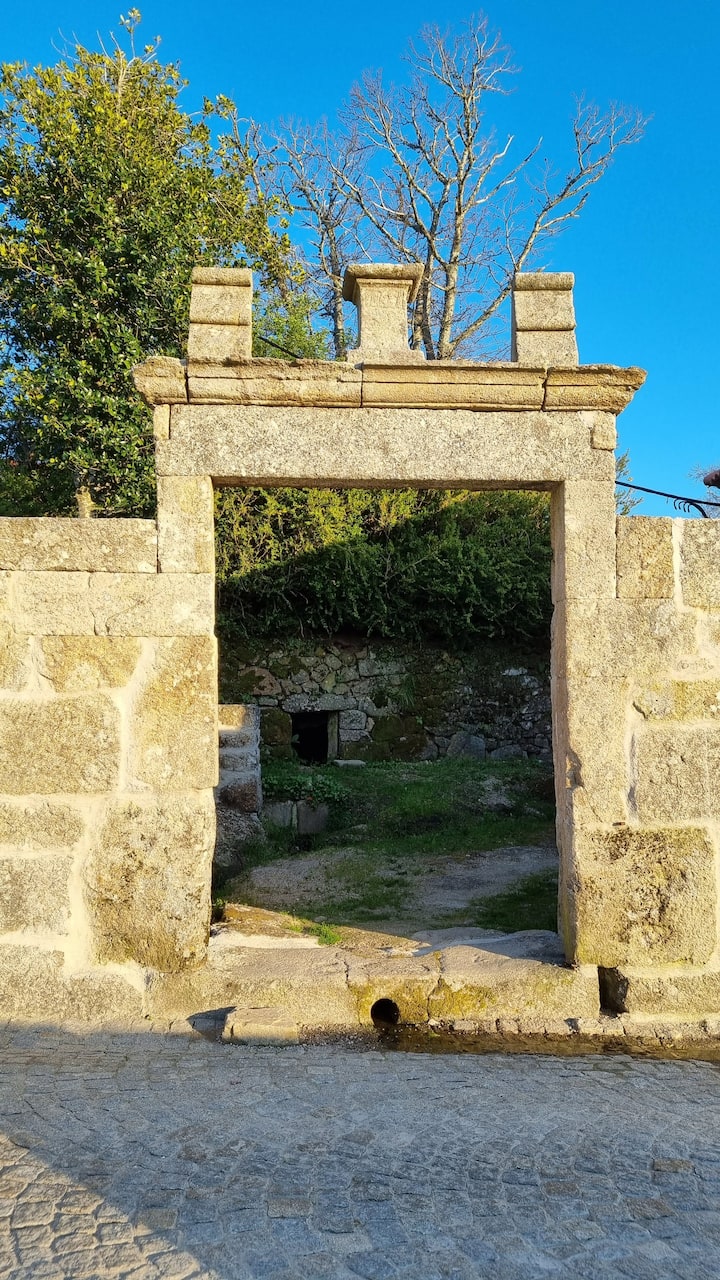 Casa Inspiração Em Harry Potter - Lamego