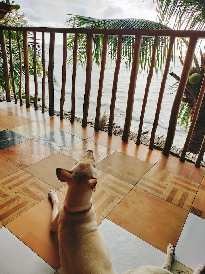 Ocean View Double Room Near Oslob - Boljoon