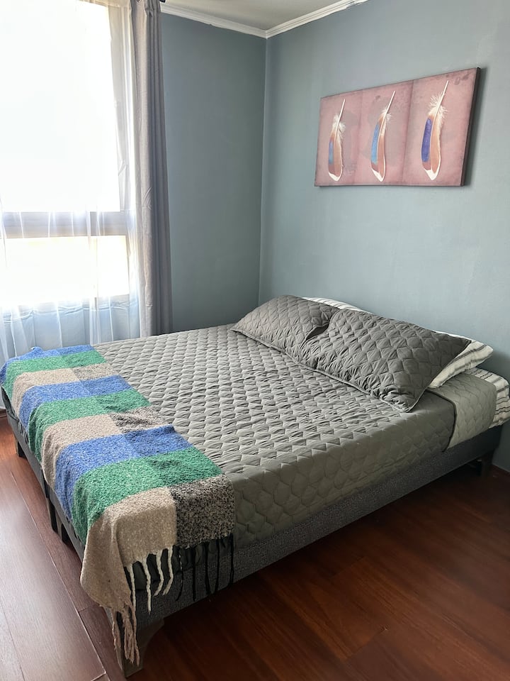 Amplio Departamento En El Centro - Santiago