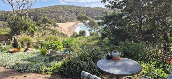 Overlooking A Wild Beach. - Tomakin