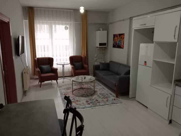 Boluda Ki Eviniz 1+1 - Berk