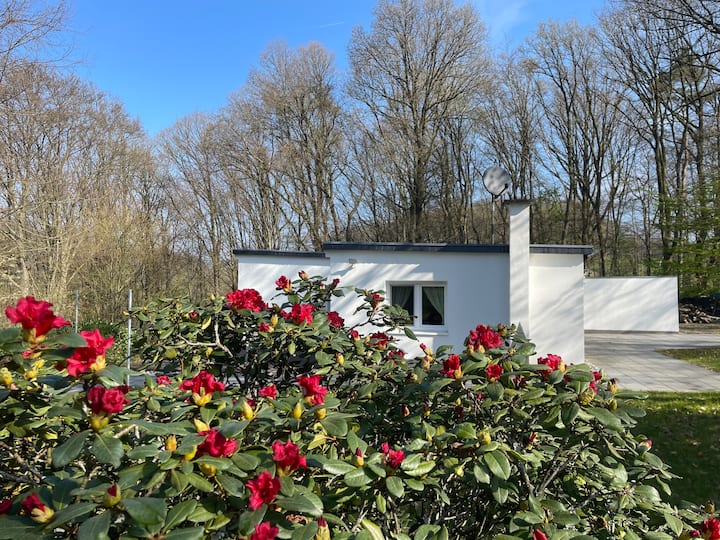 Dhünntalsperre Ferienhaus In Schönster Natur - Wermelskirchen