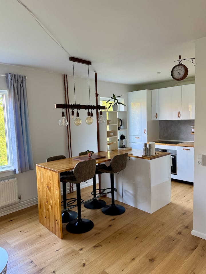 Hyggelig Lejlighed Til 2 - Copenhaguen