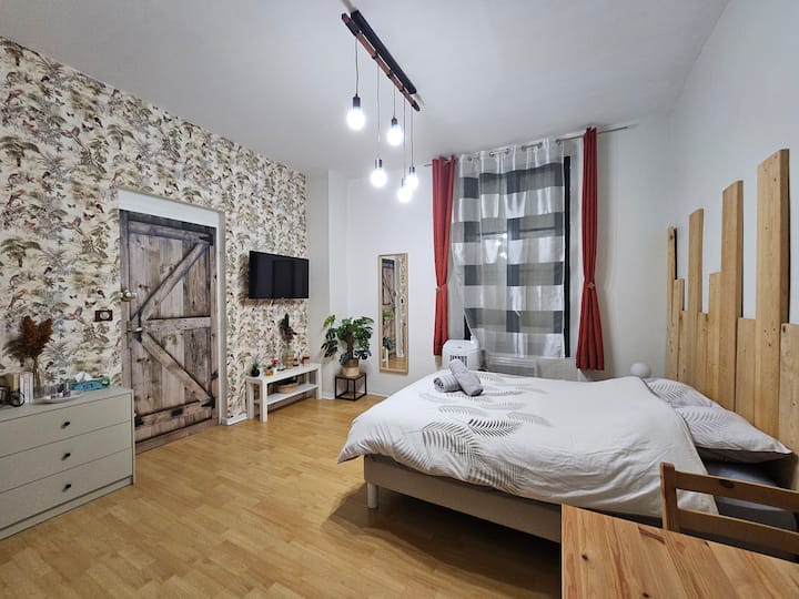 Charmant Studio Hypercentre 2* - Aix-les-Bains