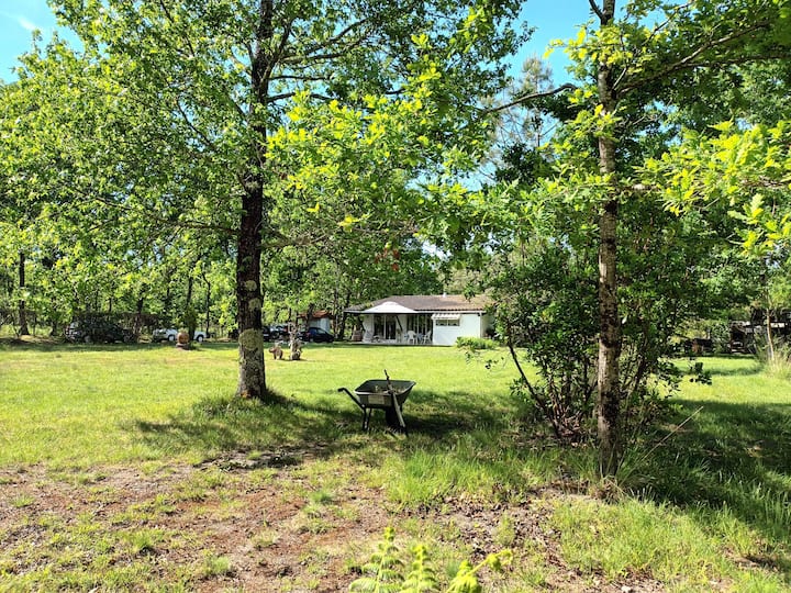 Maison Lumineuse Dans Les Bois - Hourtin
