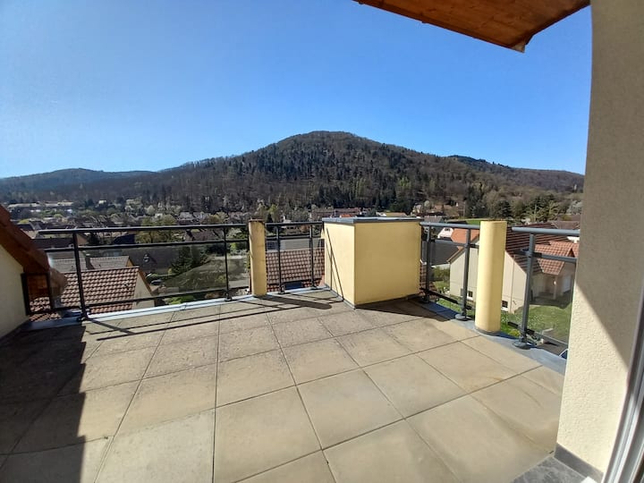 Le Panorama Kaysersberg Appart 130m² Ascenseur - Riquewihr