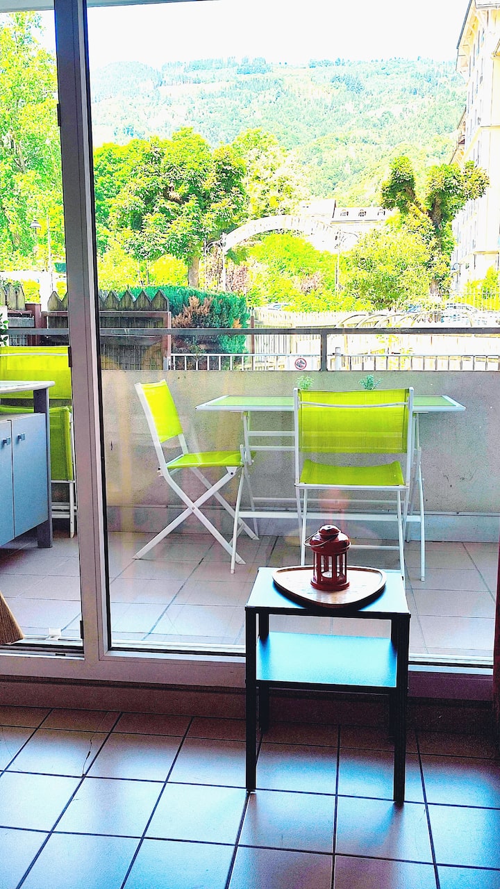 T2 3* Face Aux Thermes/piscine, Laverie - Allevard